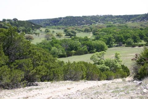 Galleries - Farrell Ranch